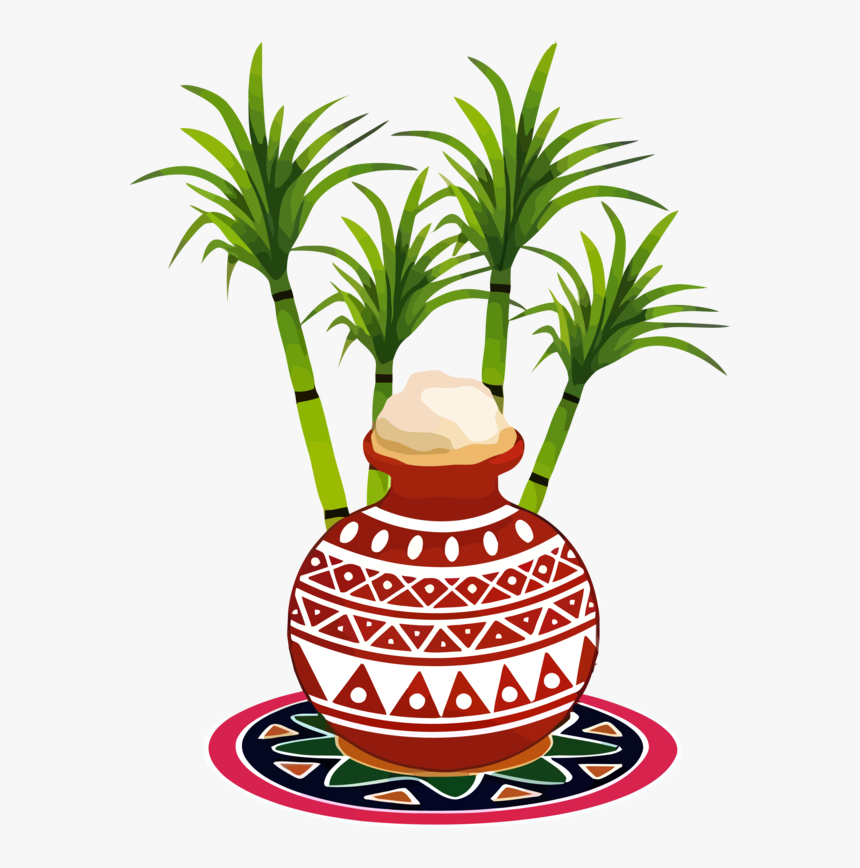 Transparent Pongal Houseplant Palm Tree Flowerpot For - Happy Pongal ...