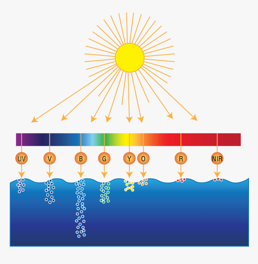 Sunlight Spectrum - Graphic Design, HD Png Download , Transparent Png ...