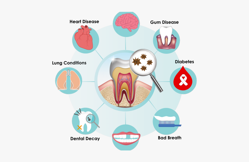 Dental Hygiene Clipart