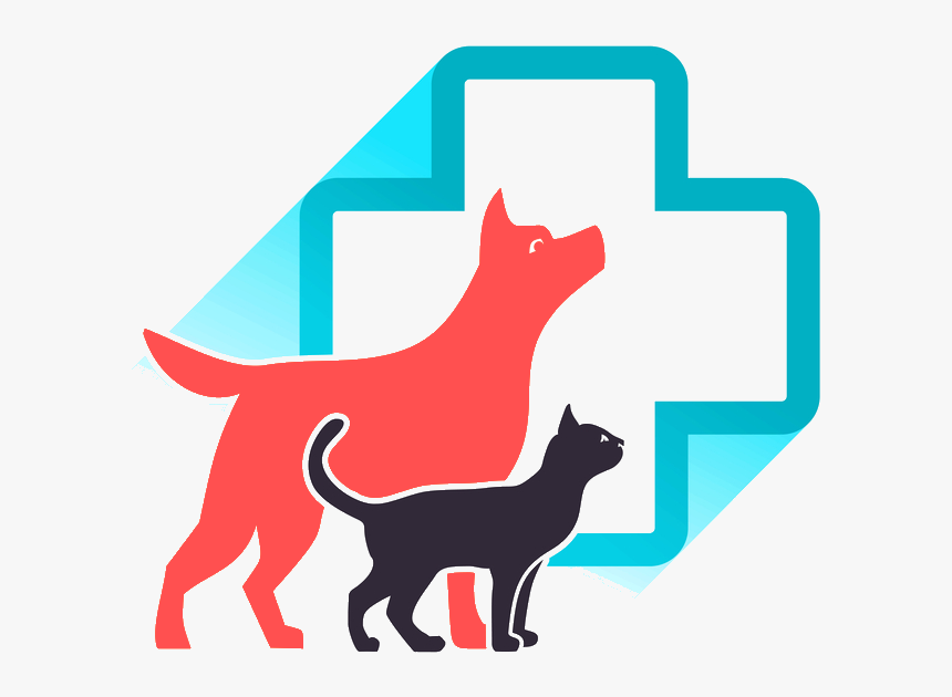 Veterinarian Cedar Hill Mo - Pet Clinic, HD Png Download , Transparent ...