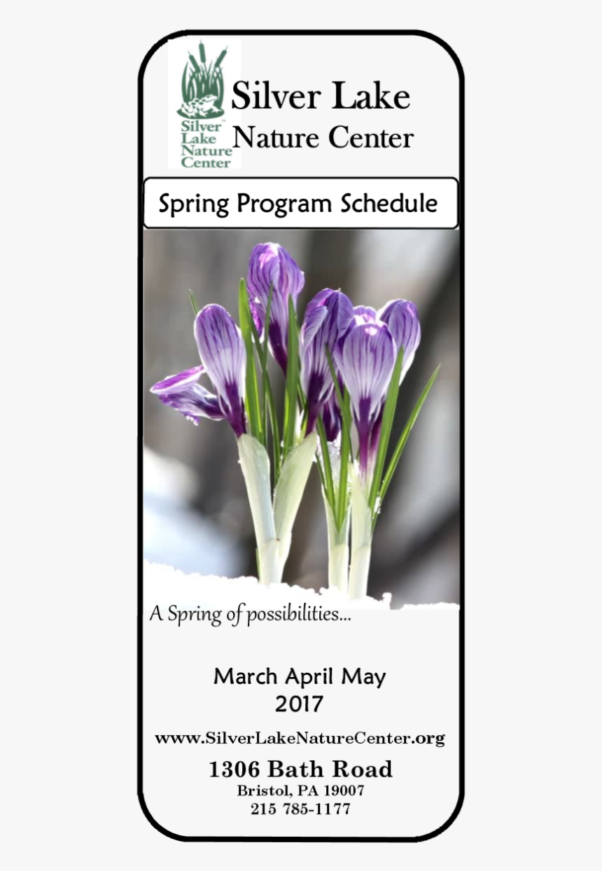 Silver Lake Nature Center, HD Png Download , Transparent Png Image ...