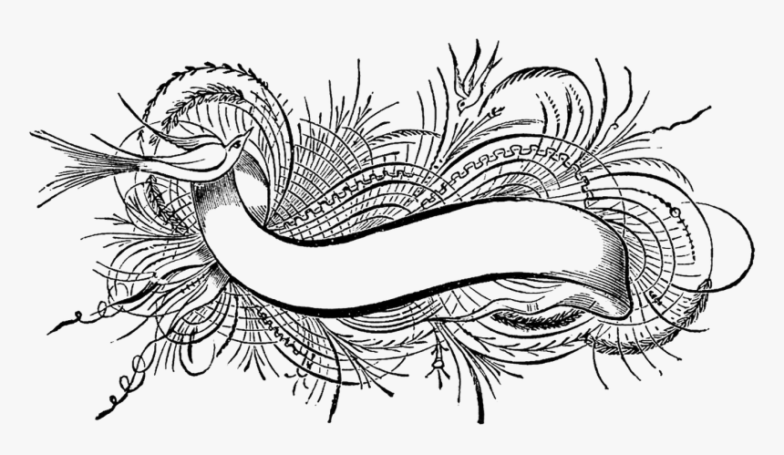 Png Calligraphy Designs Calligraphy Pictures Free 40 - Banner Clip Art ...