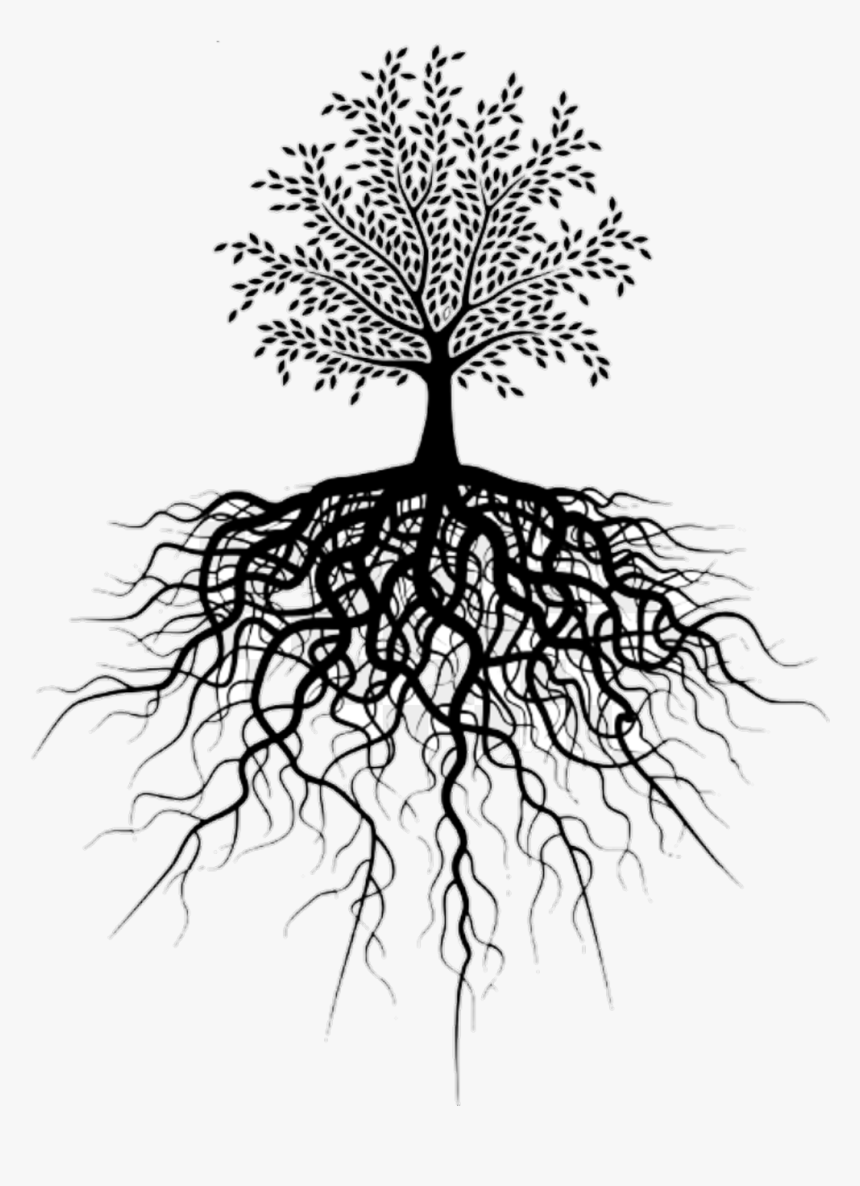 Small Tree Big Roots, HD Png Download , Transparent Png Image - PNGitem