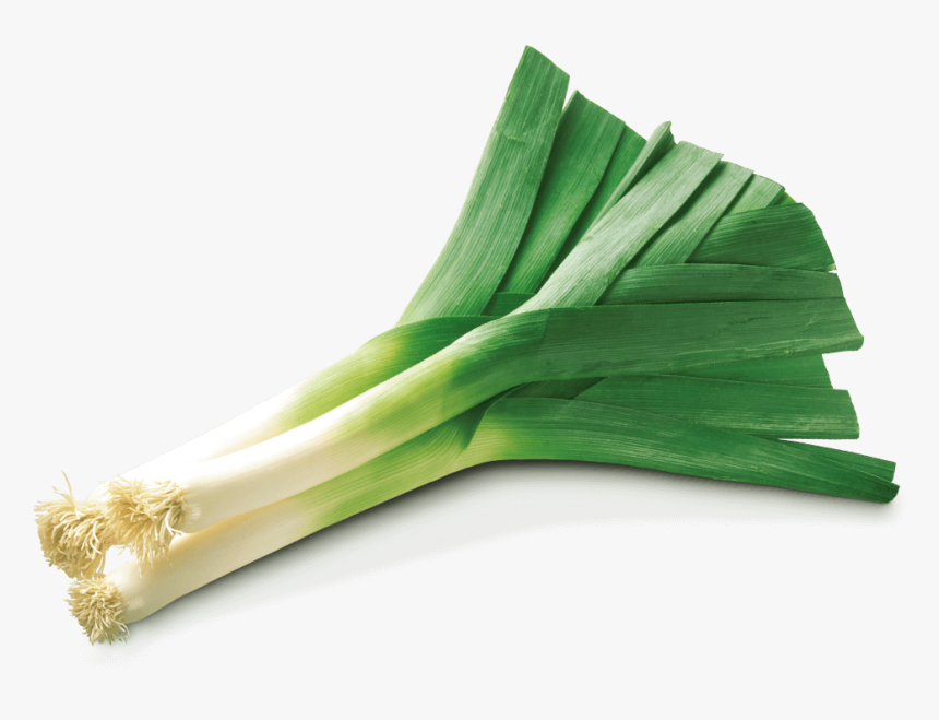 Leek,welsh Family,leaf Vegetable,shallot - Leeks Images Png ...