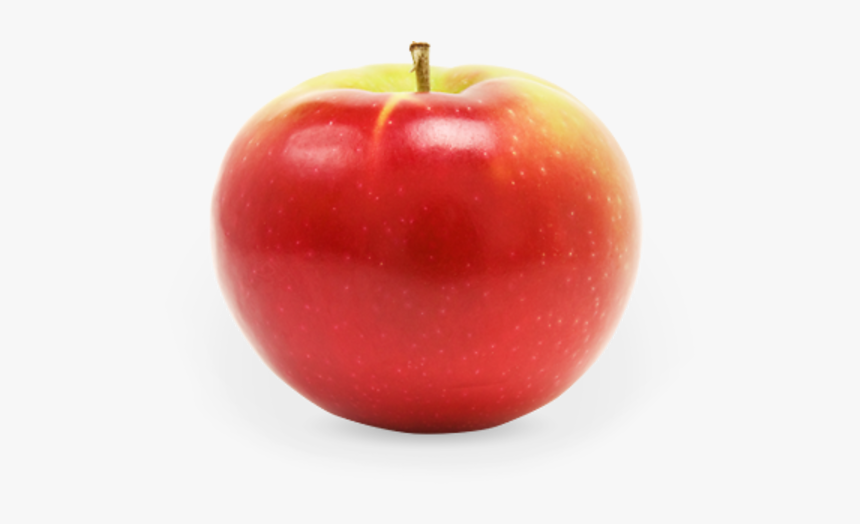 Apple Fruit, HD Png Download , Transparent Png Image - PNGitem