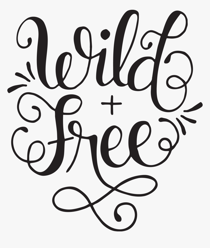 Scalable Vector Graphics, HD Png Download , Transparent Png Image - PNGitem