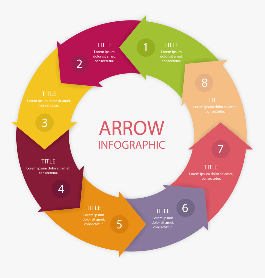 Vector Infographic Circular - Arrow, HD Png Download , Transparent Png ...