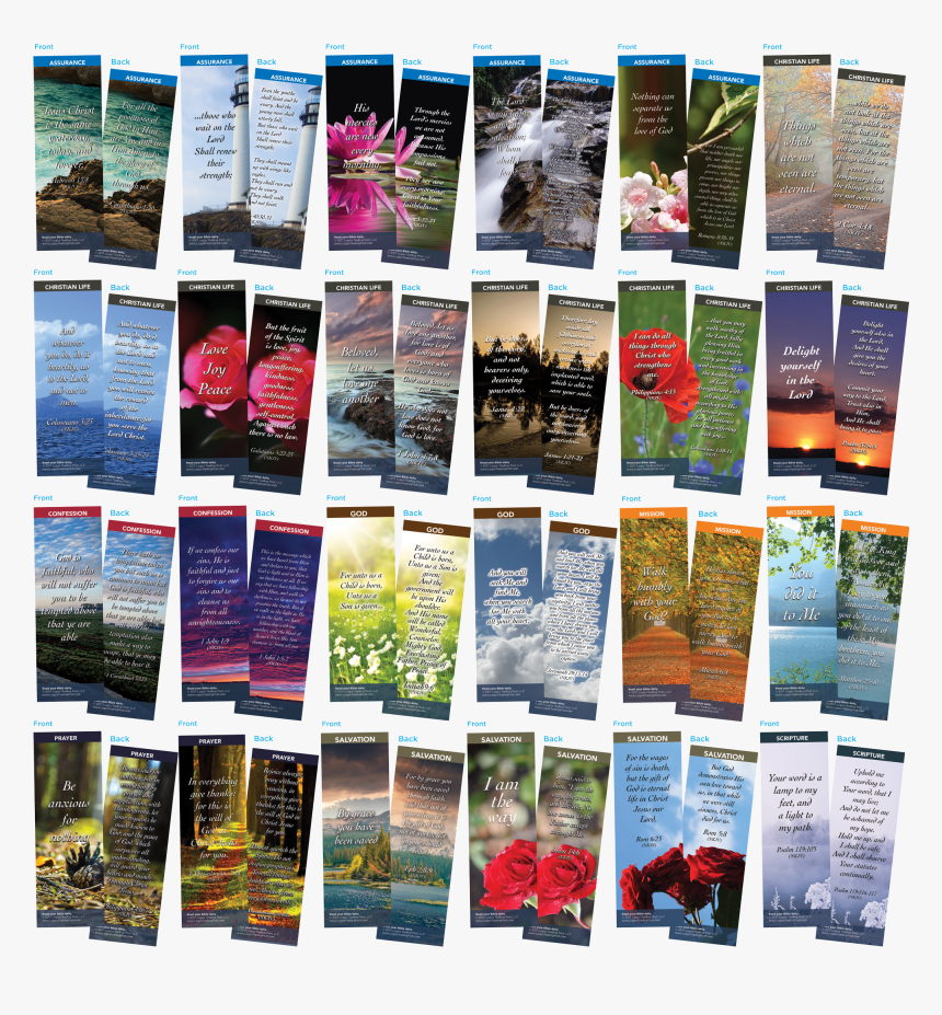 Collage, HD Png Download , Transparent Png Image - PNGitem