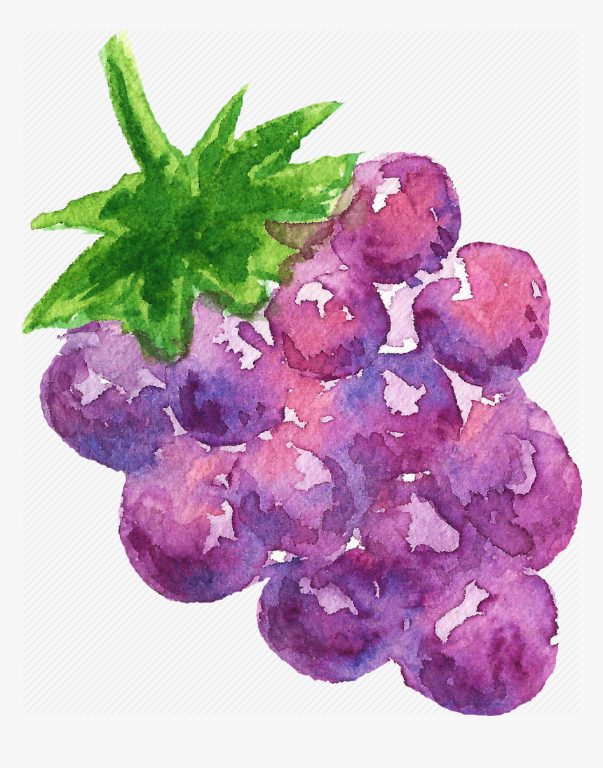 Cuisine, Food, Fruit, Fruits, Grape, Watercolor, Watercolors ...