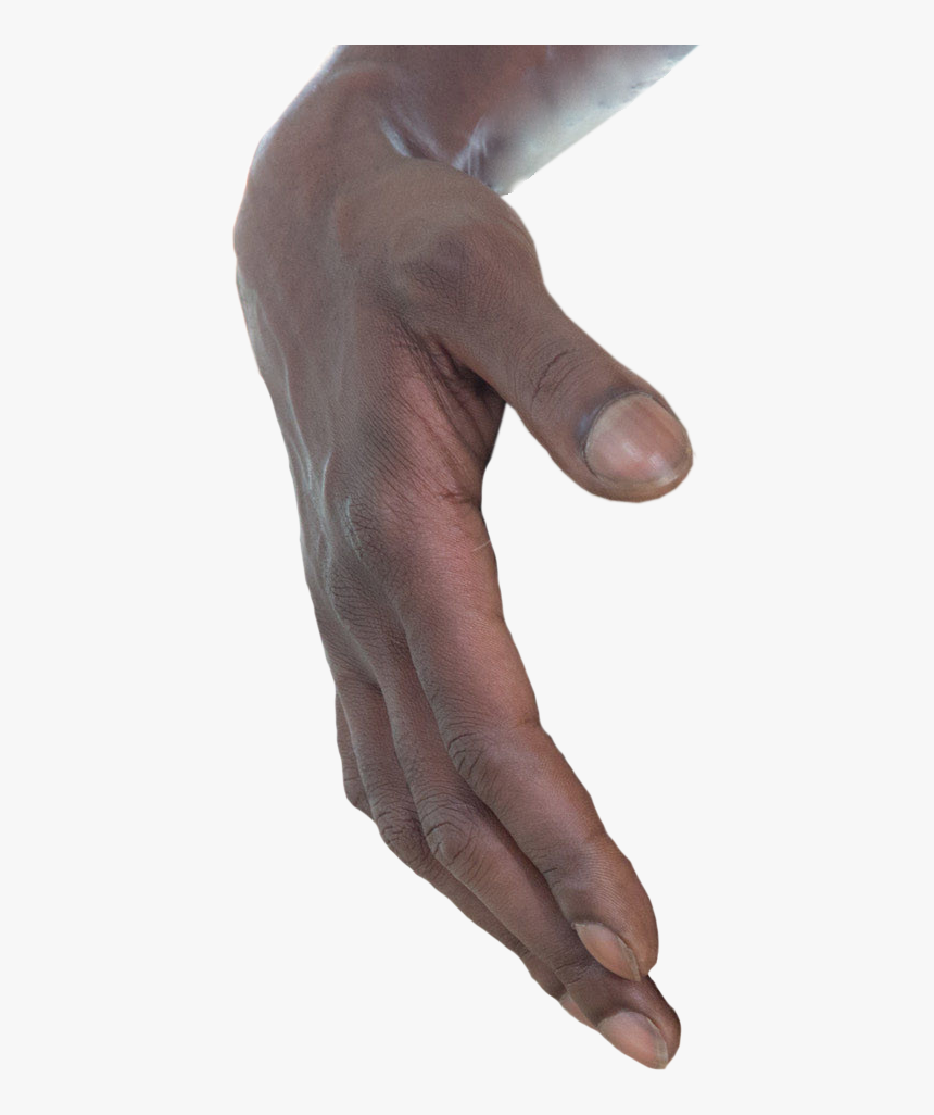 Human, HD Png Download , Transparent Png Image - PNGitem