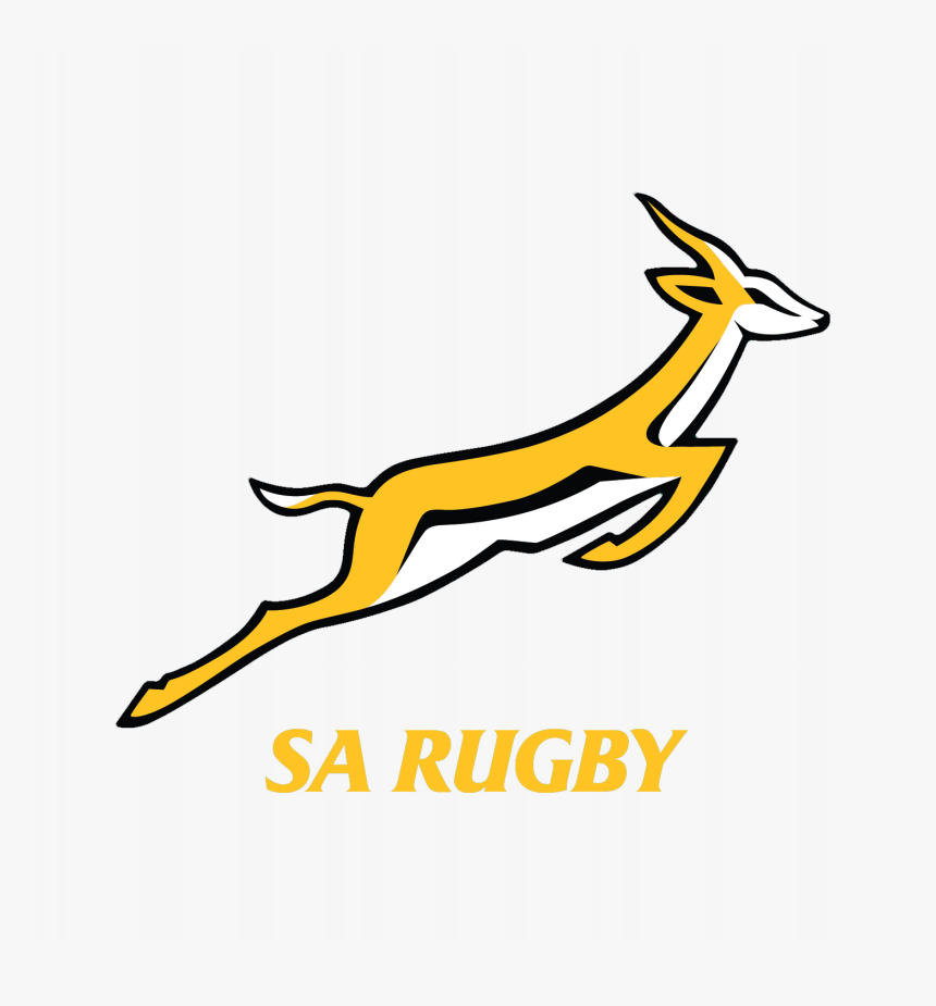 Springbok Rugby Logo