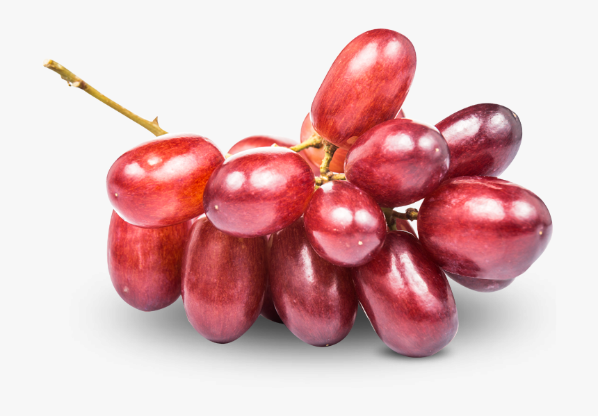 Grapes - Grape, HD Png Download , Transparent Png Image - PNGitem