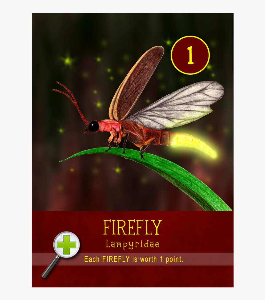 Firefly, HD Png Download , Transparent Png Image - PNGitem
