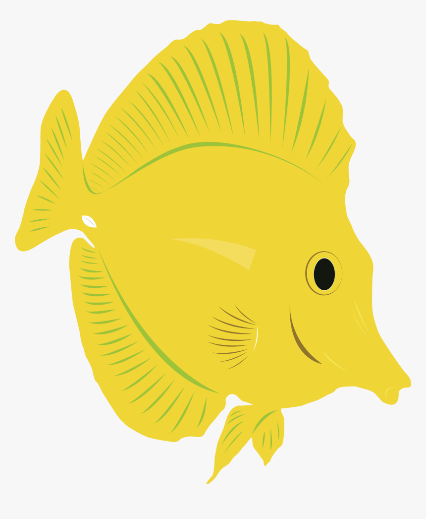 Blue Tang Fish Clipart Outline Vector Black And White - Illustration ...