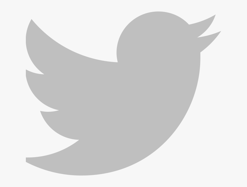 Twitter Bird Logo Png Transparent