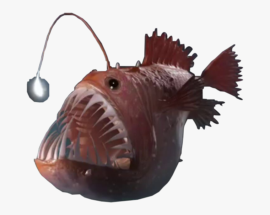 Angler Fish Png - Deep Sea Fish Png, Transparent Png , Transparent Png ...