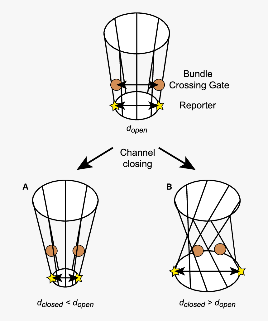 Simple Open Close Mechanism, HD Png Download , Transparent Png Image ...