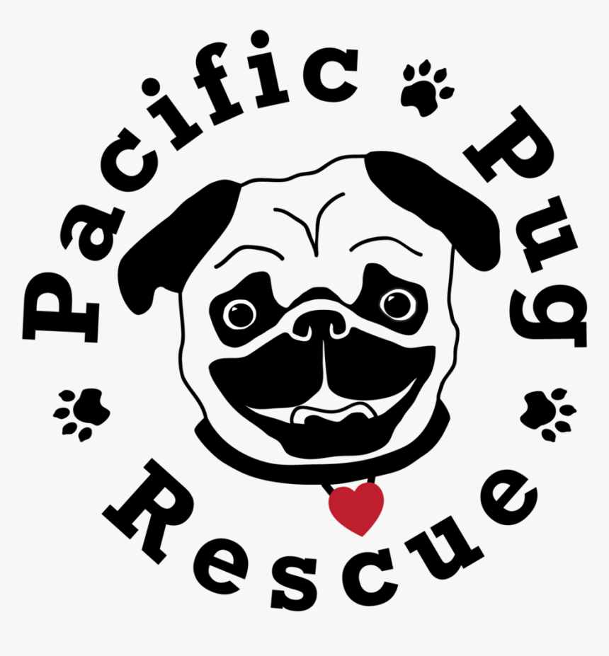 Transparent Pug Face Png - Pacific Pug Rescue, Png Download ...
