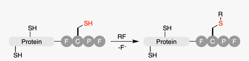 File - Pi-clamp - Statistical Graphics, HD Png Download , Transparent ...