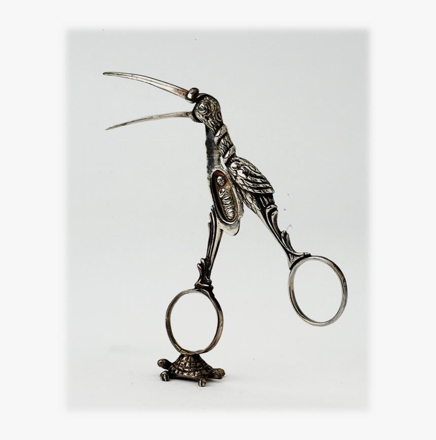 Obs-umbilical Cord Clamp - Dendrobranchiata, HD Png Download ...