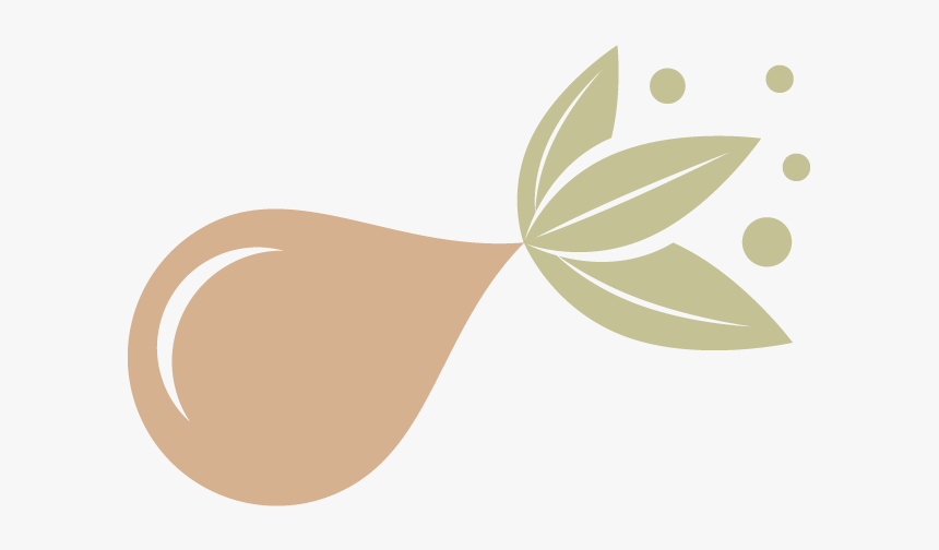 Animo Logo Web2-2, HD Png Download , Transparent Png Image - PNGitem