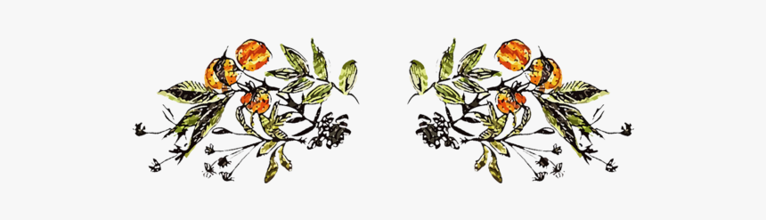 Illustrated Divider, HD Png Download , Transparent Png Image - PNGitem