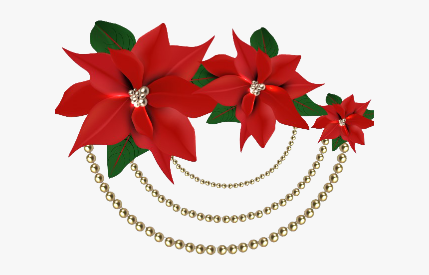 Christmas Poinsettia Png File - Clipart Christmas Flower Png ...