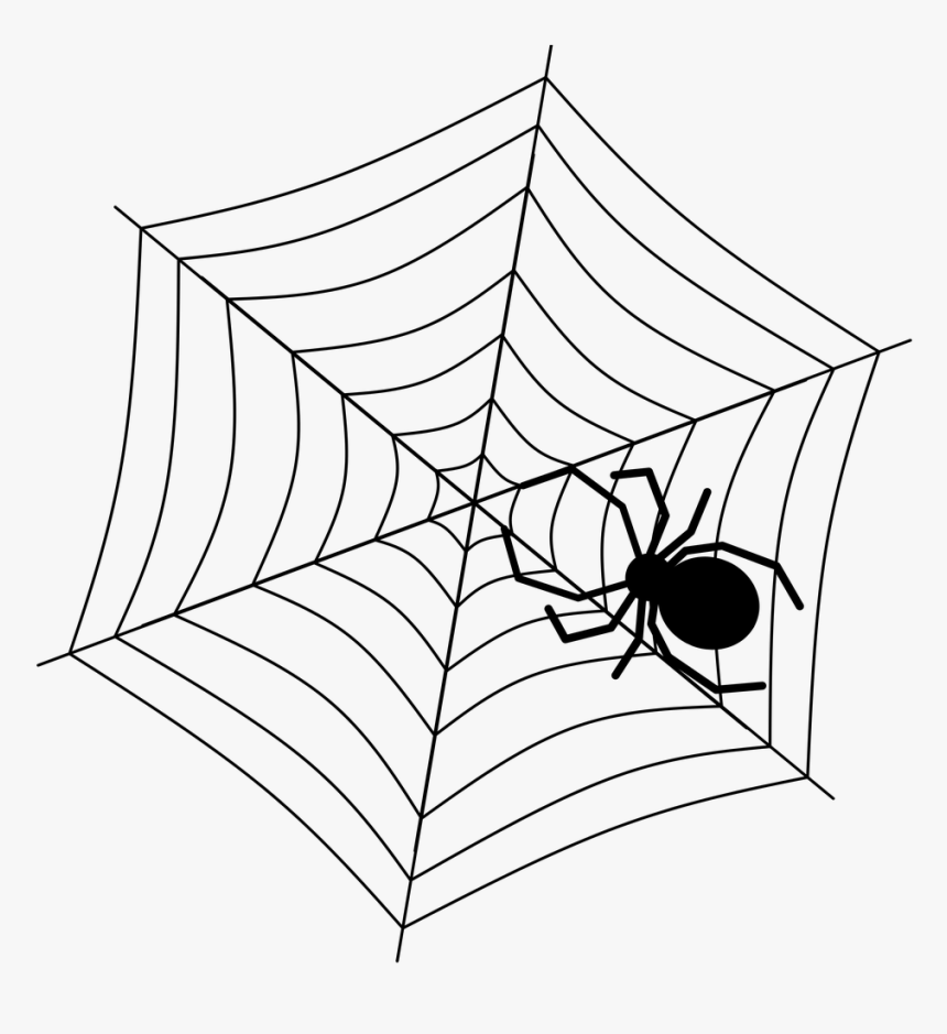 Spider Net, HD Png Download , Transparent Png Image - PNGitem