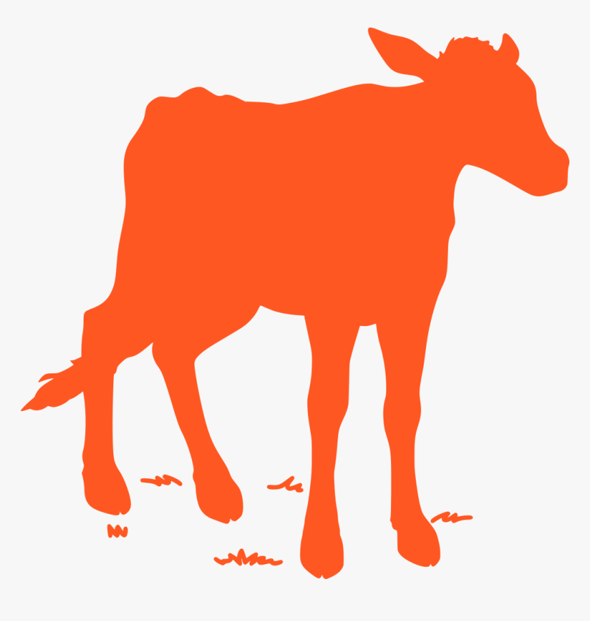 Transparent Cow Jumping Clipart - Cattle, HD Png Download , Transparent ...
