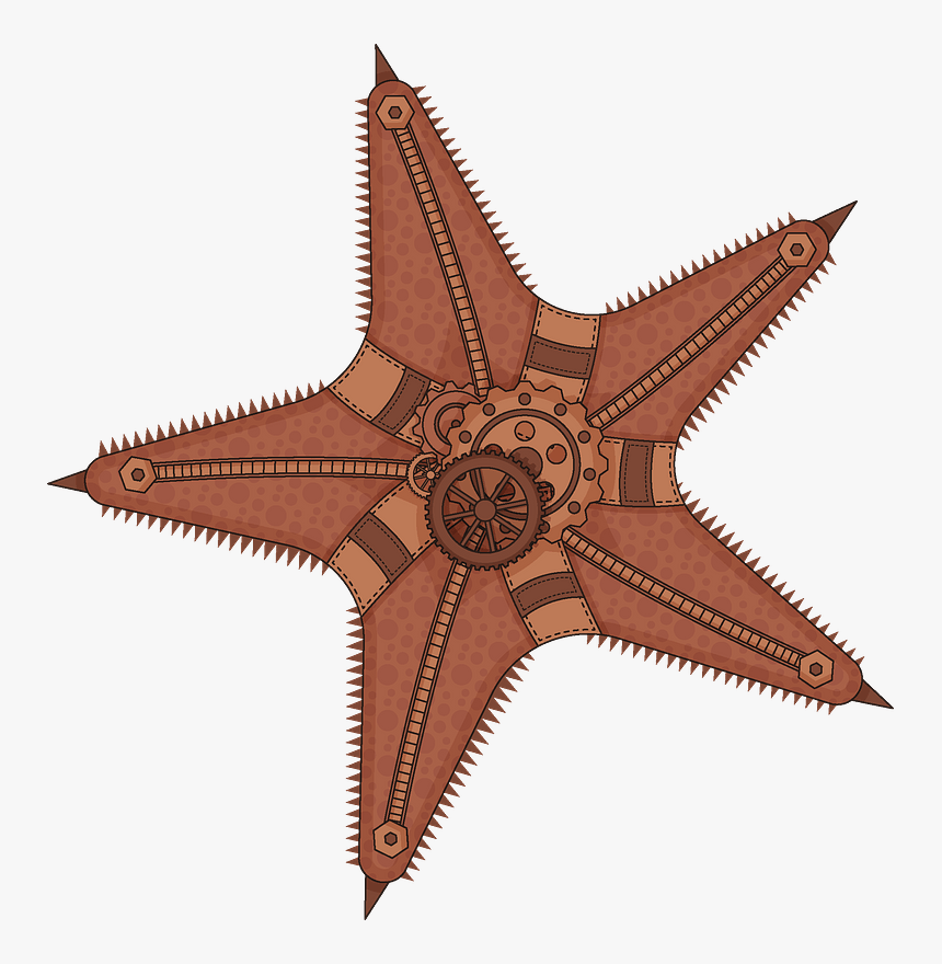 Starfish, HD Png Download , Transparent Png Image - PNGitem