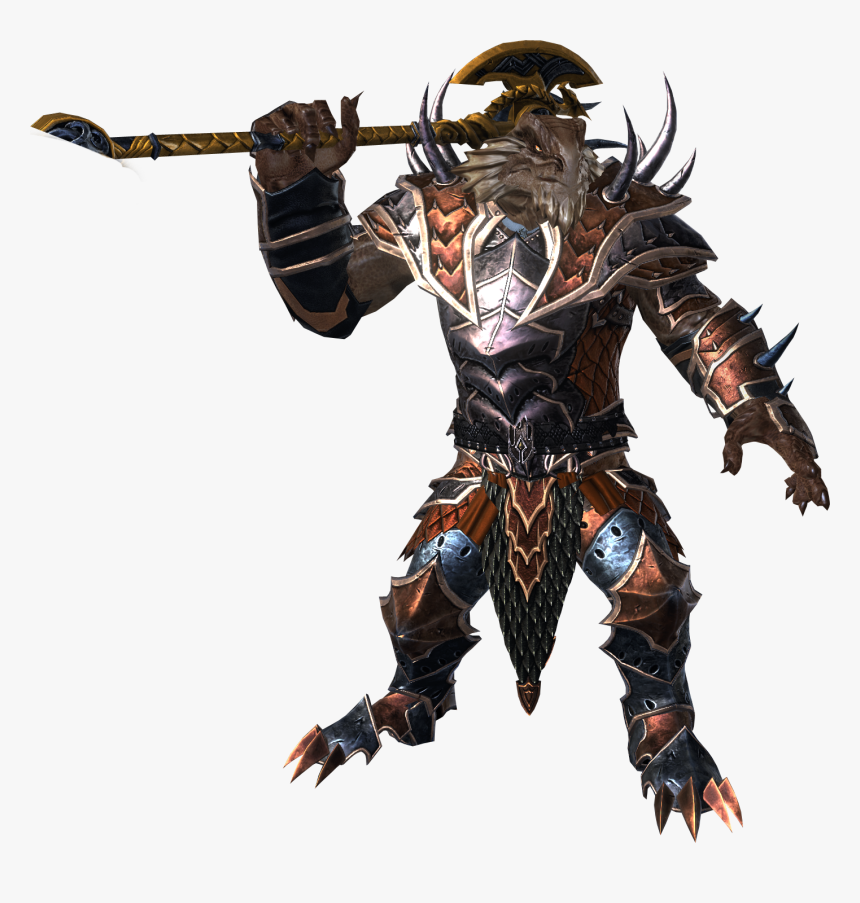 Neverwinter Personnage Png , Png Download - Dungeons And Dragons ...