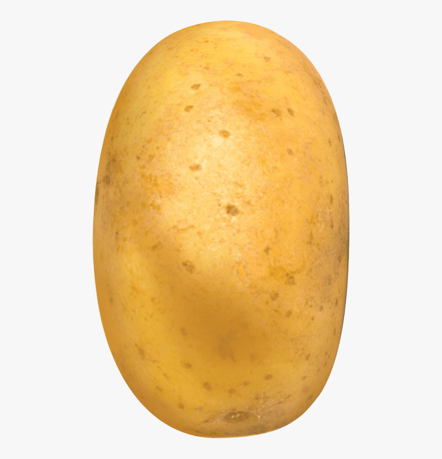 Potato- - Potato, HD Png Download , Transparent Png Image - PNGitem