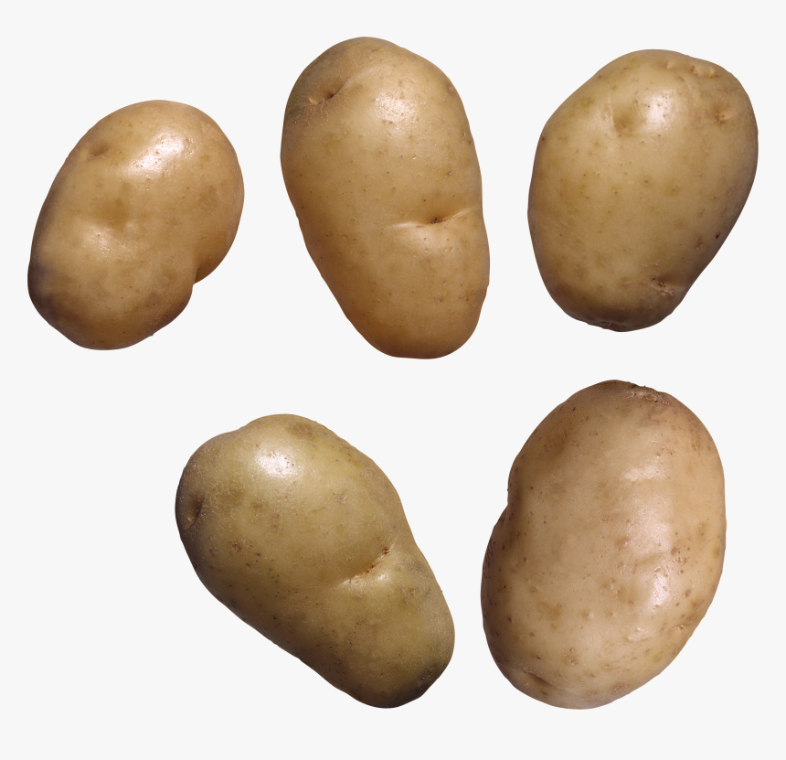 Potato Free Png Image - Boiled Potato No Background, Transparent Png ...