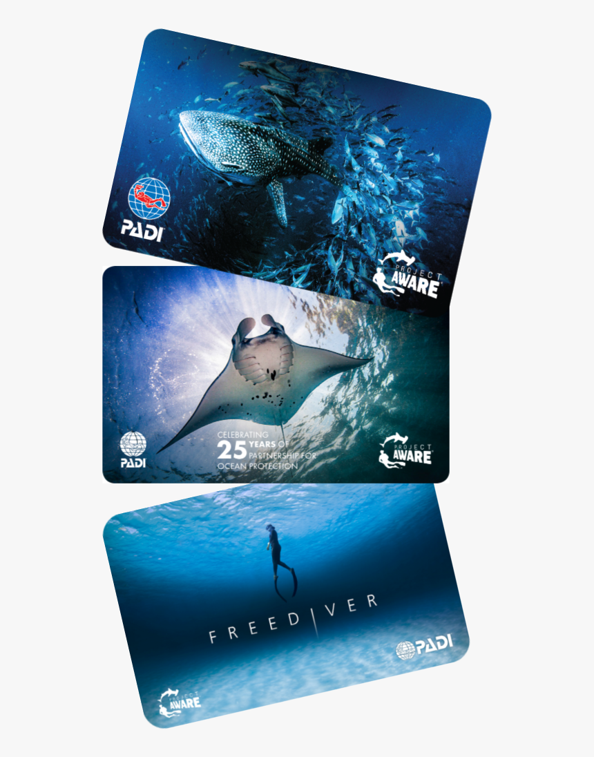 C Card Options - Padi Project Aware Card 2019, HD Png Download ...