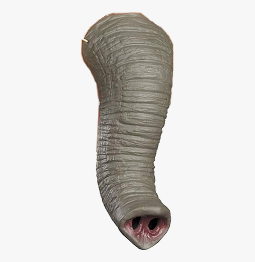 #filter #elephanttrunk #elephant #trunk #nose #elephantnose - Vase, HD ...