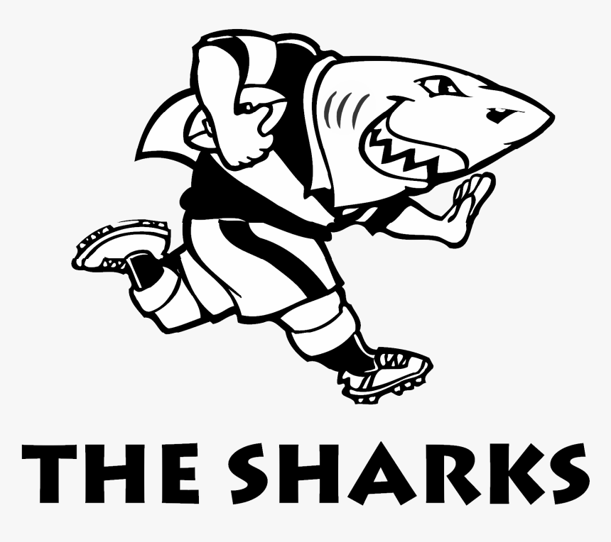 Transparent Shark Outline Png - Sharks Rugby Logo, Png Download ...