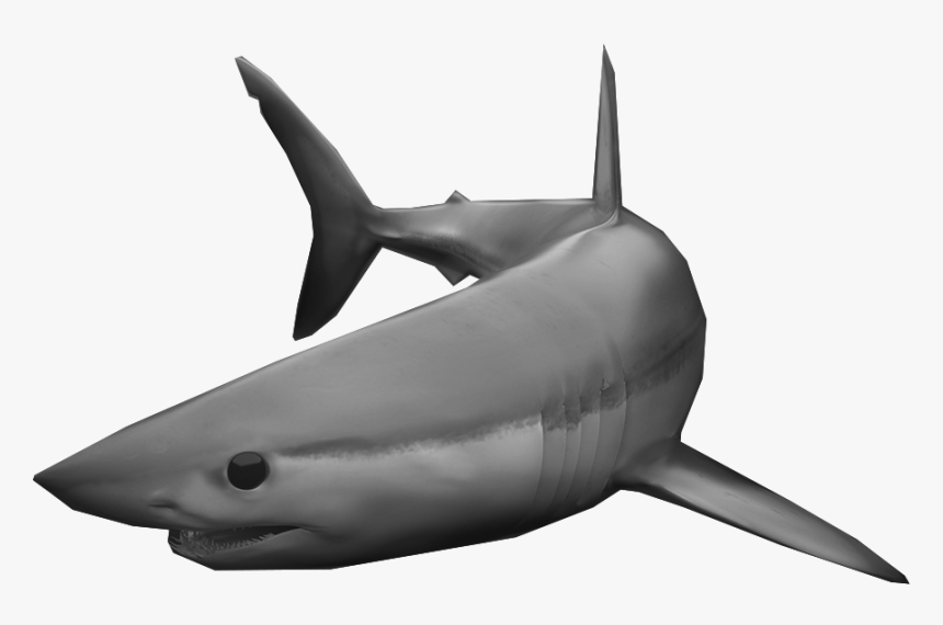 Mako Shark Nsu, HD Png Download , Transparent Png Image - PNGitem