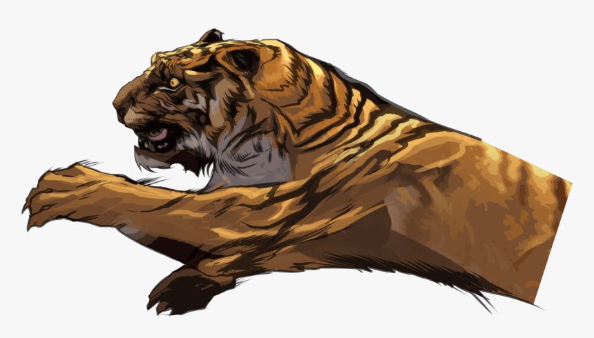 Transparent Tiger Roar Png - Siberian Tiger, Png Download , Transparent ...