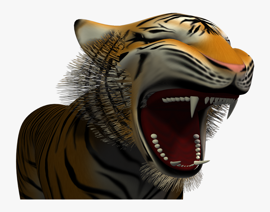 Roar, HD Png Download , Transparent Png Image - PNGitem