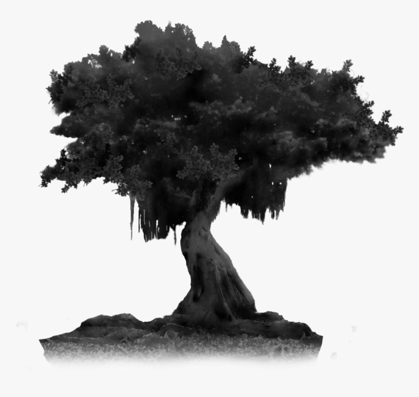 Night Tree Png Hd , Png Download - Night Tree Transparent, Png Download ...