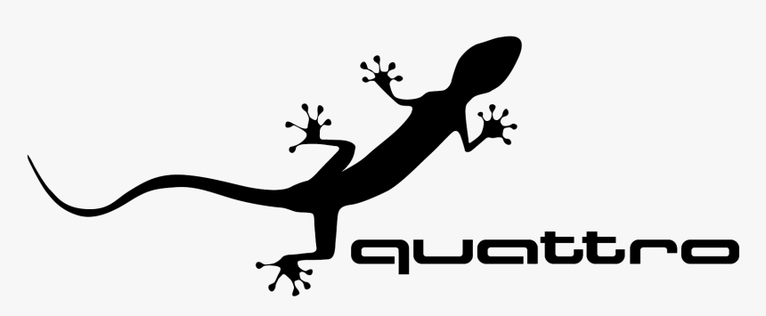 Audi Quattro Logo, HD Png Download , Transparent Png Image - PNGitem