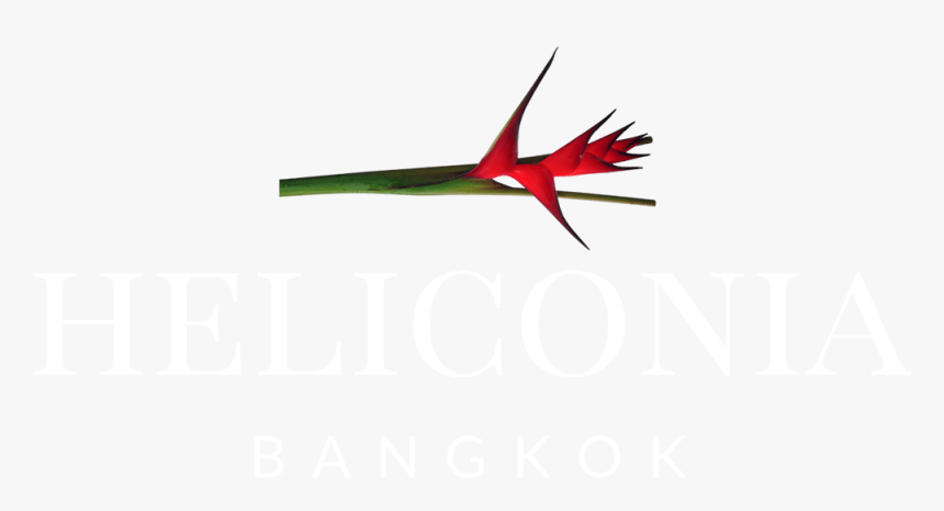 Heliconia Logo White - Heliconia, HD Png Download , Transparent Png ...