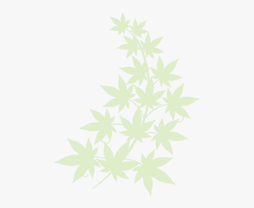 Weed Png, Transparent Png , Transparent Png Image - PNGitem