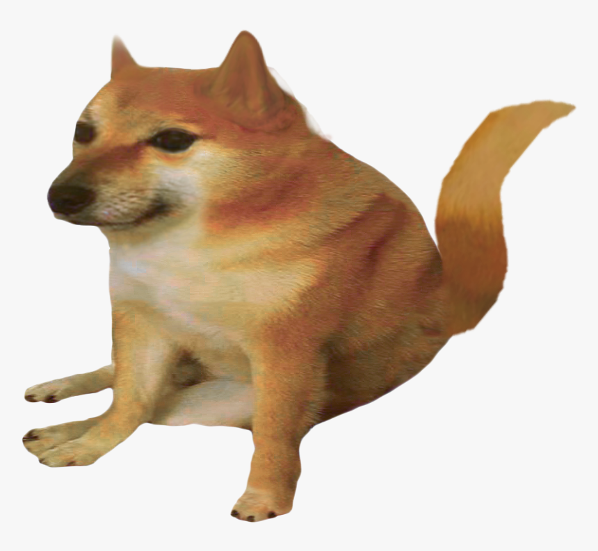 Anime Meme Pfp For Zoom Https Encrypted Tbn0 Gstatic Com 5D2