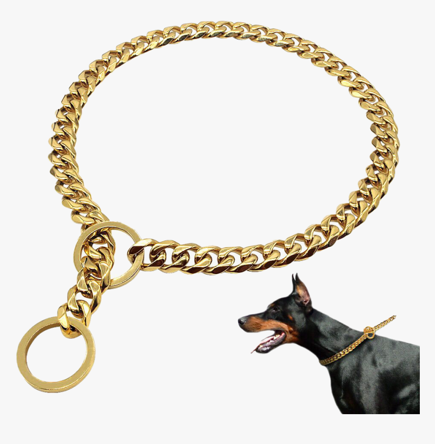 Gold Dog Chain Png, Transparent Png , Transparent Png Image - PNGitem
