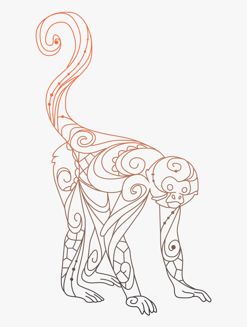 Spider Monkey, HD Png Download , Transparent Png Image - PNGitem