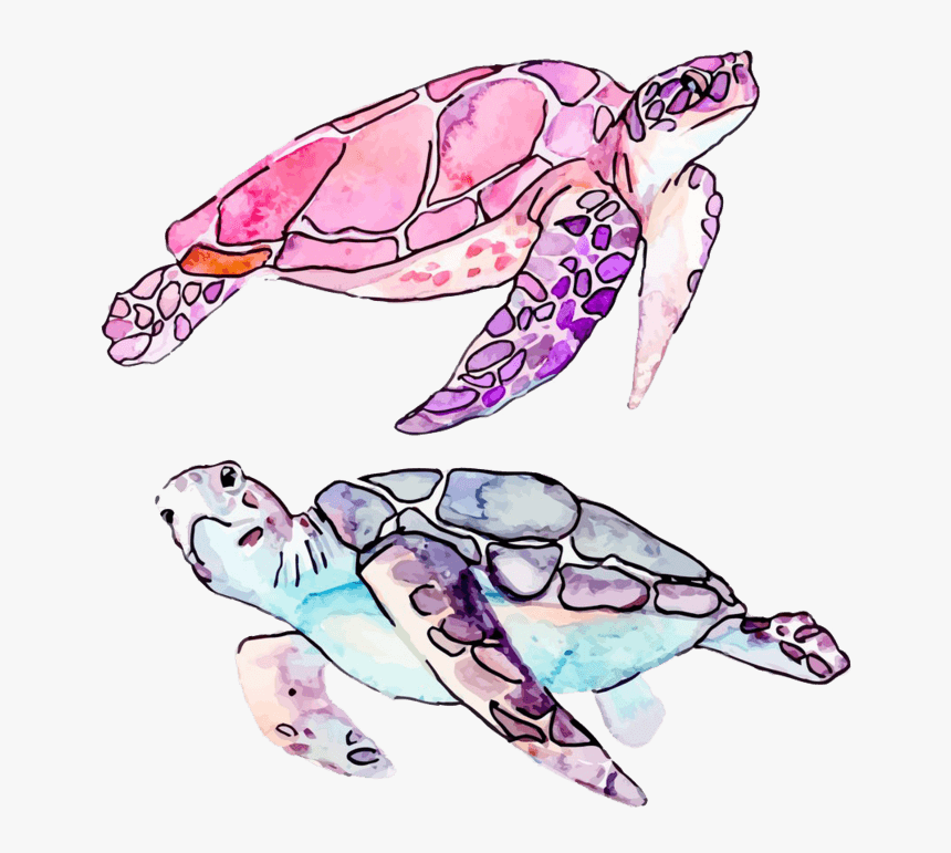 Watercolor Sea Turtle Png, Transparent Png , Transparent Png Image ...