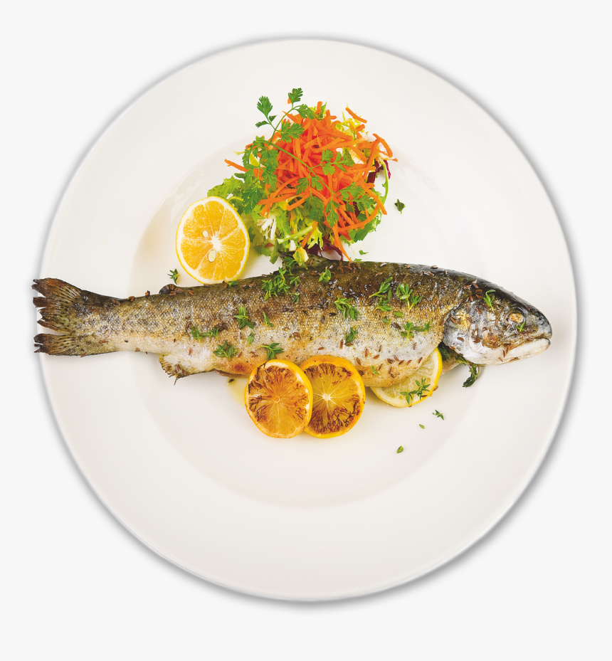 Fish Plate Png , Png Download, Transparent Png , Transparent Png Image ...