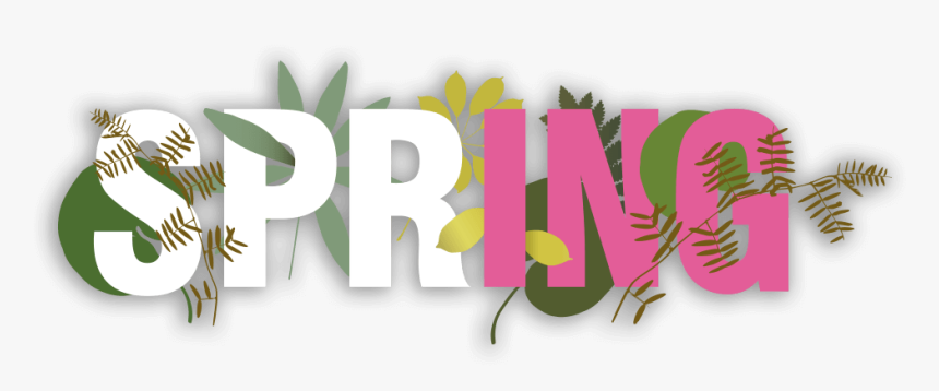 Spring Png, Transparent Png , Transparent Png Image - PNGitem