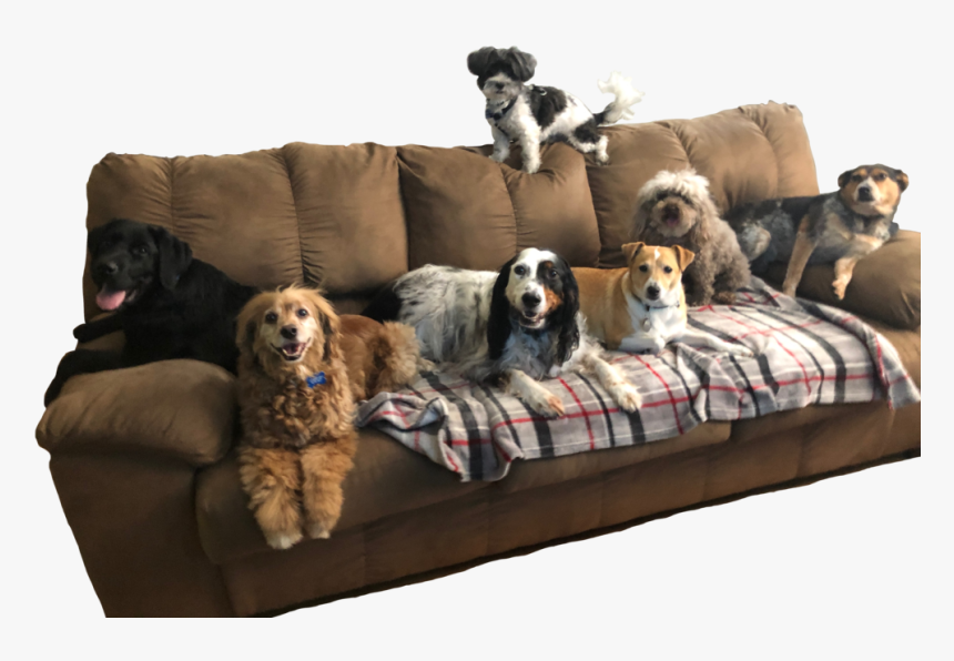 Couch, HD Png Download , Transparent Png Image - PNGitem